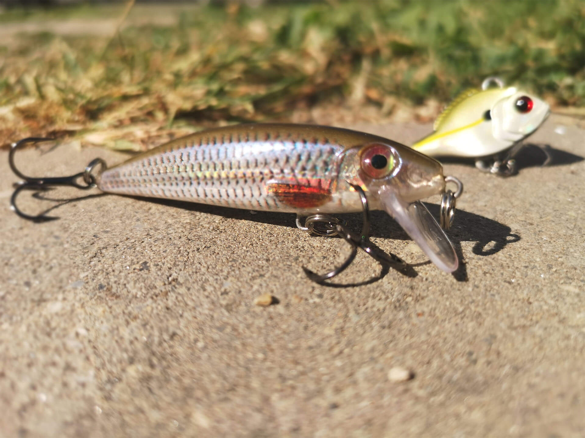 Pescuit la avat pe Dunare - Naluci - Blog TotalFishing