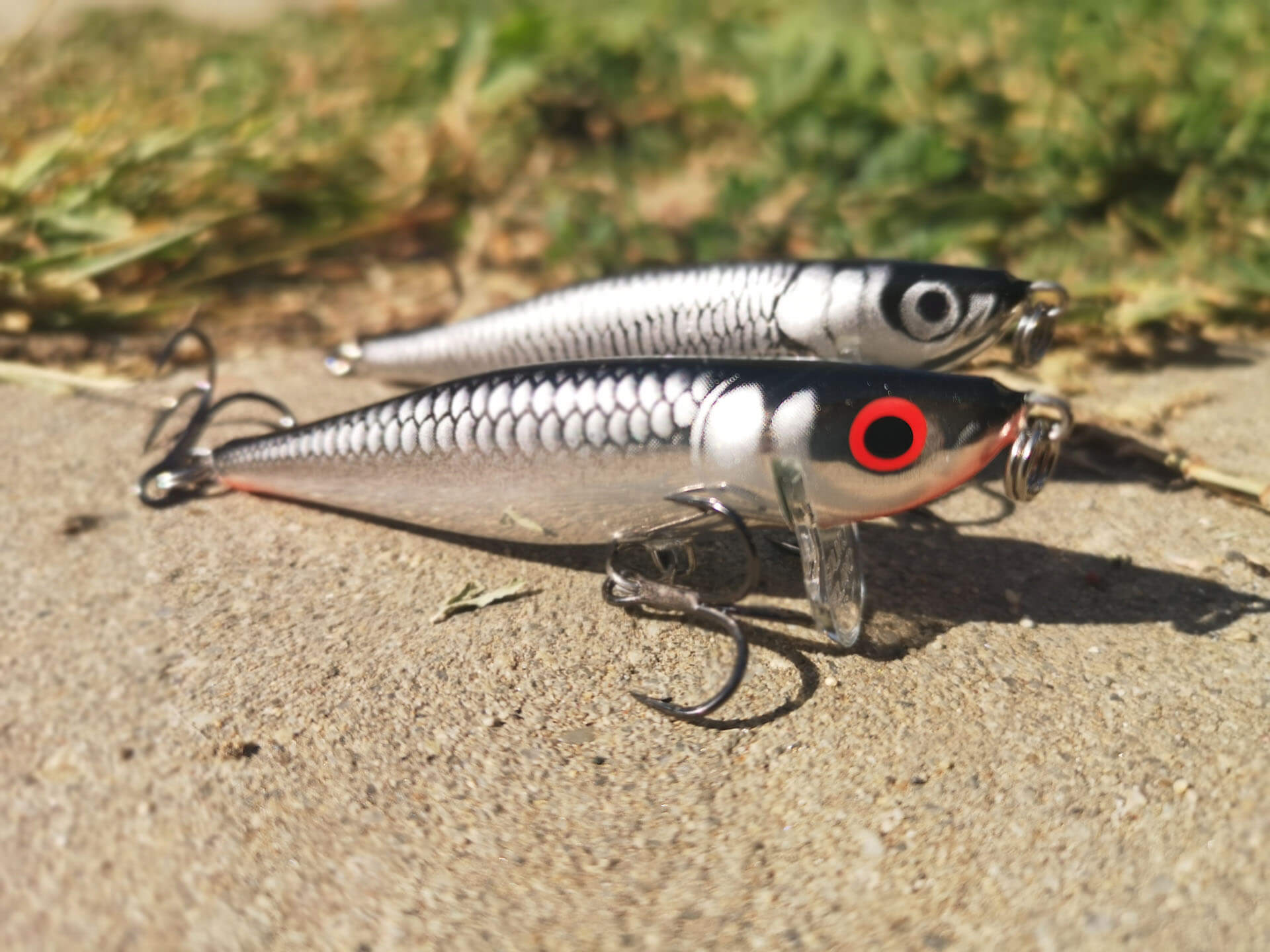 Pescuit la avat pe Dunare - Naluci - Blog TotalFishing