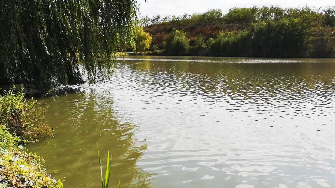 Pescuit la crap pe Lacul Gruiu - Blog TotalFishing