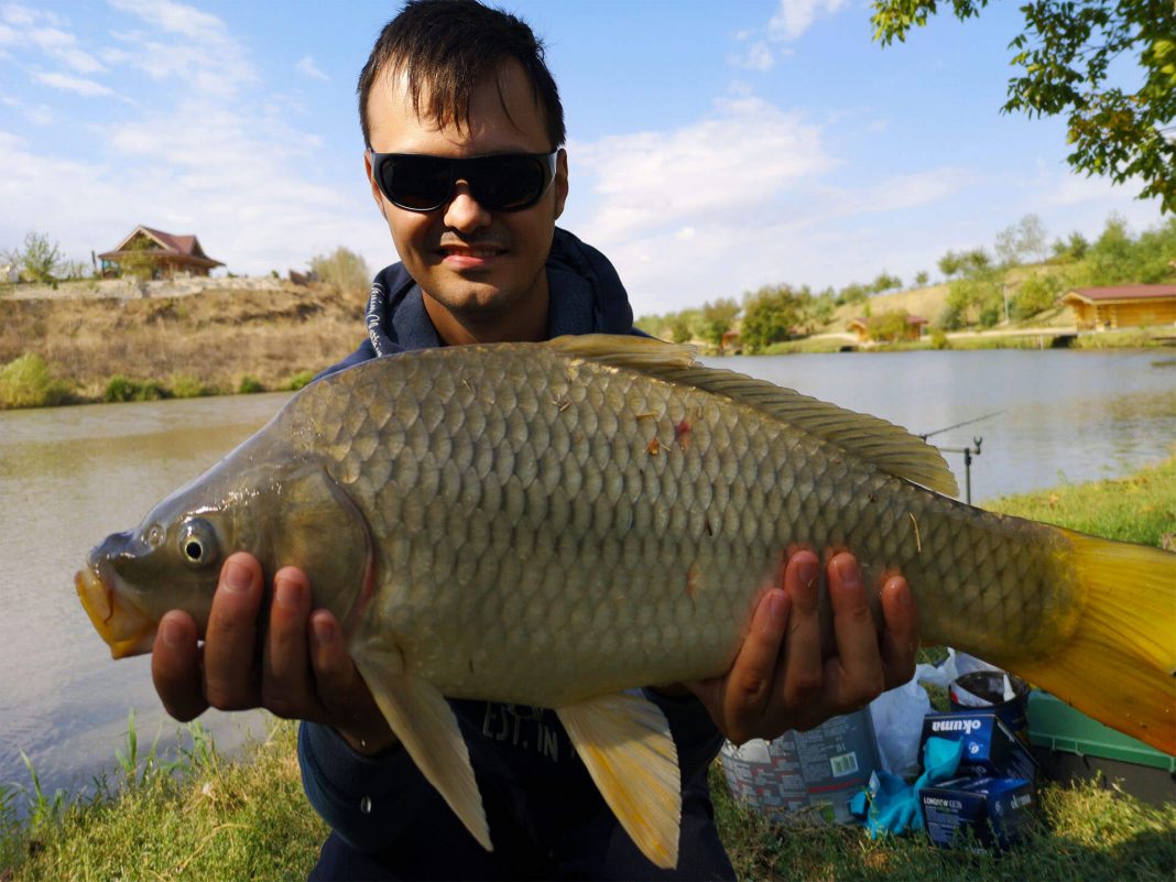 Balti de pescuit langa Bucuresti - Blog TotalFishing