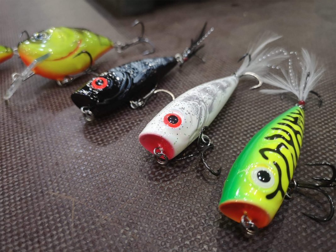 Pescuit la rapitor-ghid pentru incepatori - Blog TotalFishing