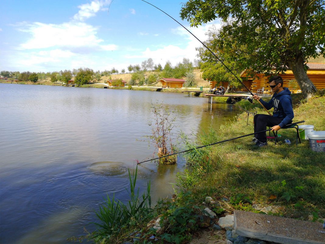 Specii de pesti in apele din Romania - Blog TotalFishing