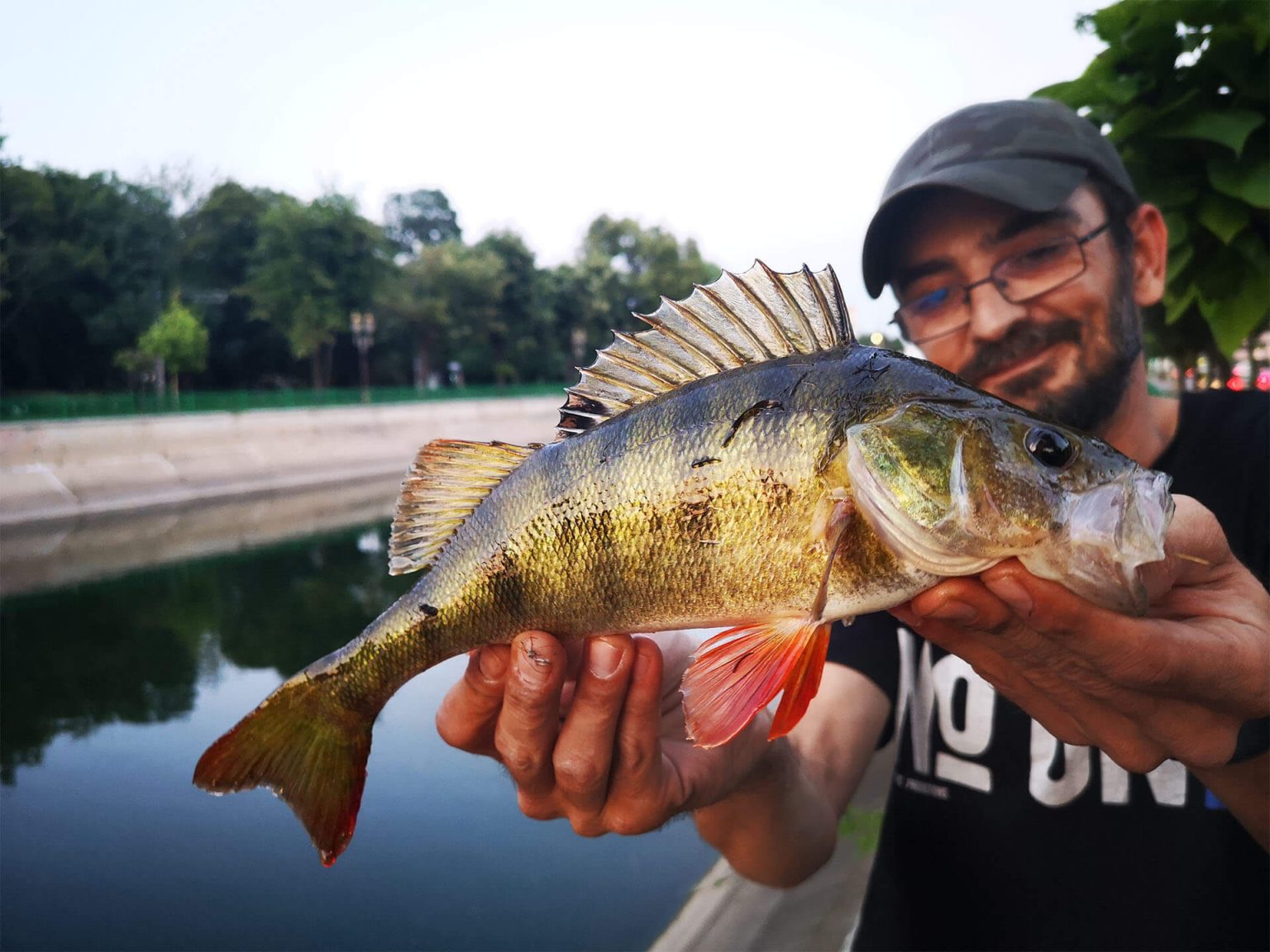 Specii de pesti in apele din Romania - Blog TotalFishing