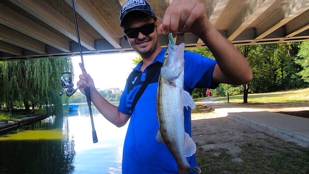 La salau de pe mal - cum pescuim ? - Blog TotalFishing