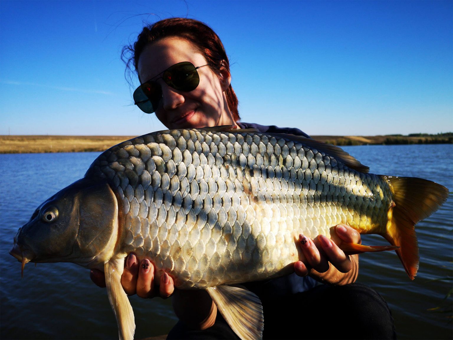 Specii de pesti in apele din Romania - Blog TotalFishing