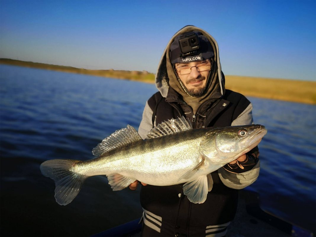 Specii de pesti in apele din Romania - Blog TotalFishing