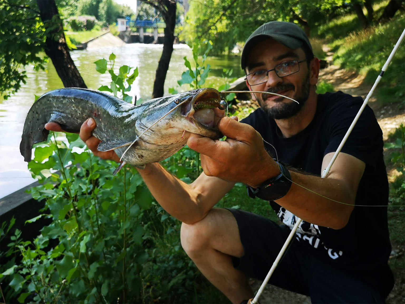 Specii de pesti in apele din Romania - Blog TotalFishing