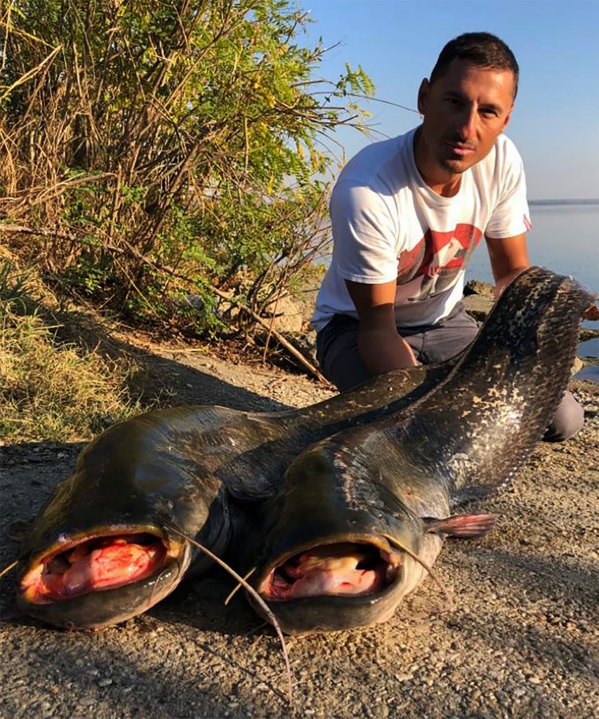 Specii de pesti in apele din Romania - Blog TotalFishing