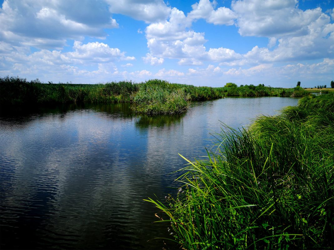 Balti de pescuit langa Bucuresti - Blog TotalFishing