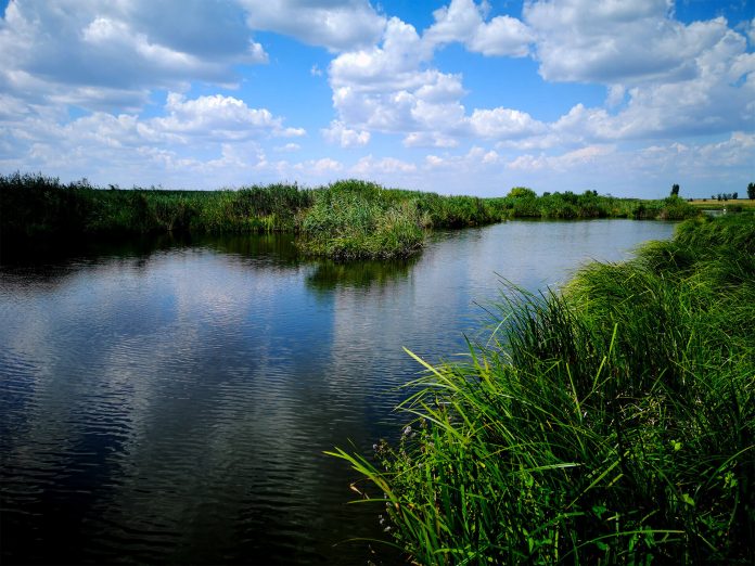 Balti de pescuit langa Bucuresti - Blog TotalFishing