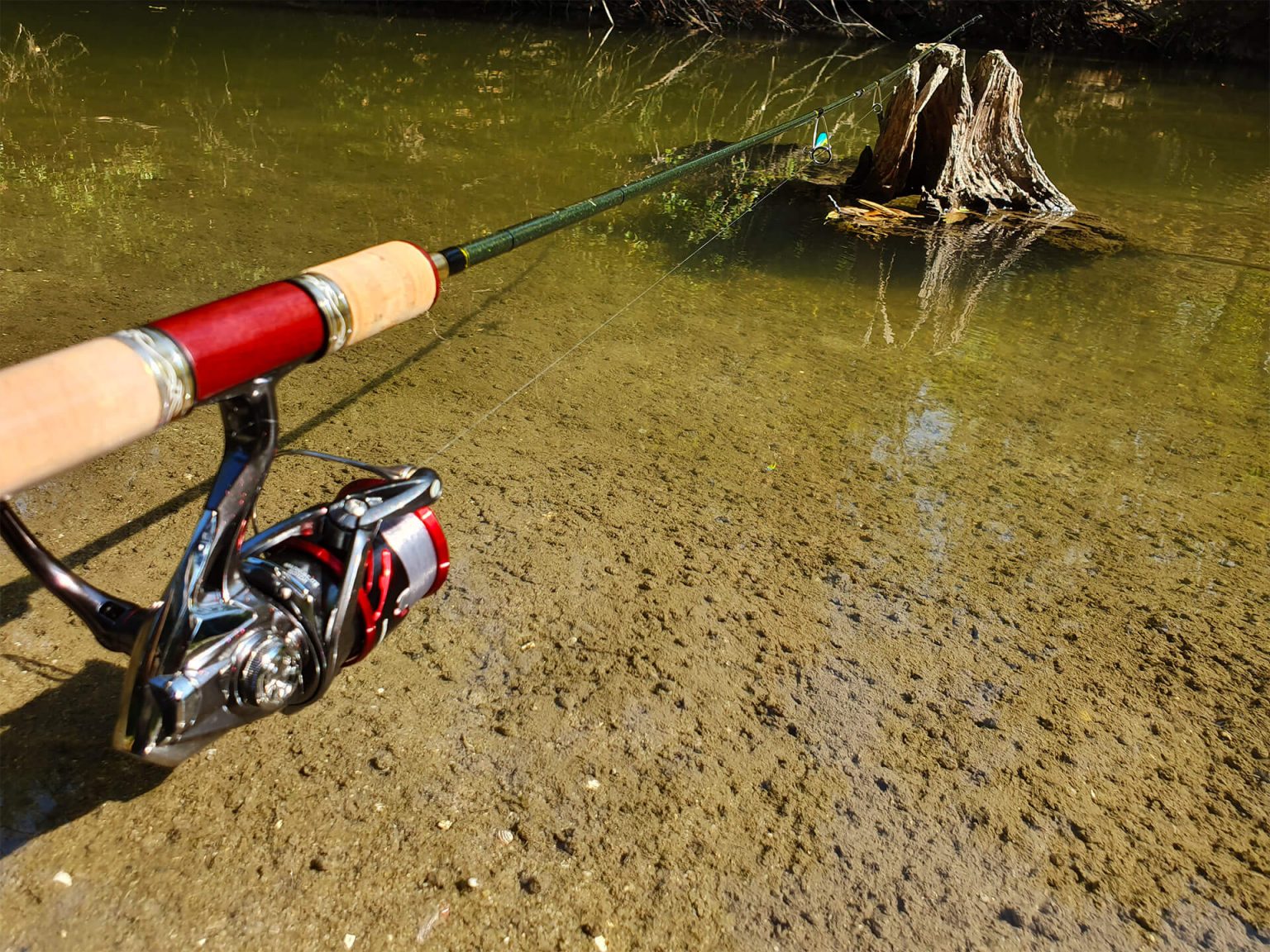 Pastrav - Cum pescuim acest peste ? - Blog TotalFishing