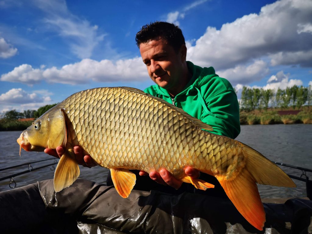 Pescuit la crap cu boilies toamna ! - Blog TotalFishing