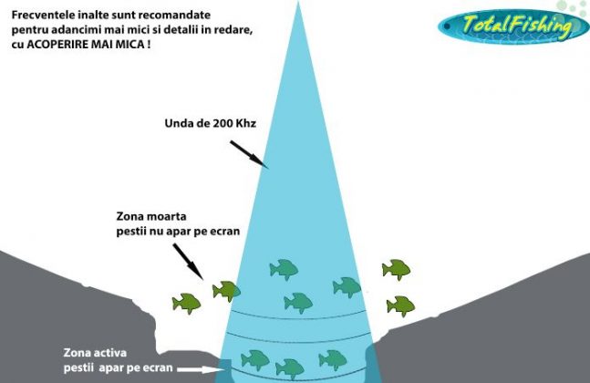 Sonarul de pescuit – principii de functionare - Blog TotalFishing